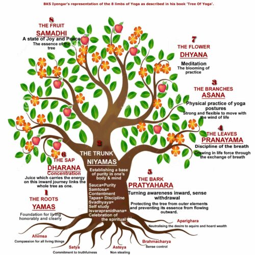 8 Limbs Of Yoga Course For Life